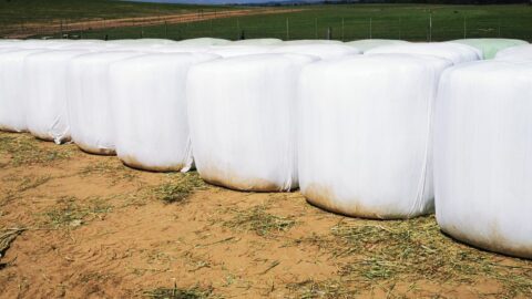 Agriculture Plastics - Polywrap